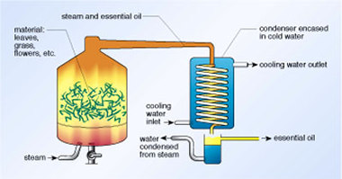 Chemical plants - OpenLearn - Open University