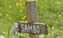 The children of slavery: Sambo's grave - Near Heysham - OpenLearn ...
