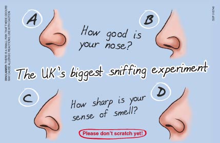 Scratch and smell experiment: The results - OpenLearn - Open University