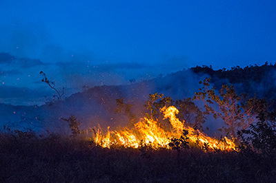 Amazonian challenges: Climate change, drought and wildfires - OpenLearn ...