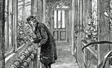 A reader's guide to Darwin: The Life of a Tormented Evolutionist ...