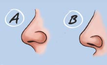 Scratch and smell: Take the test - OpenLearn - Open University