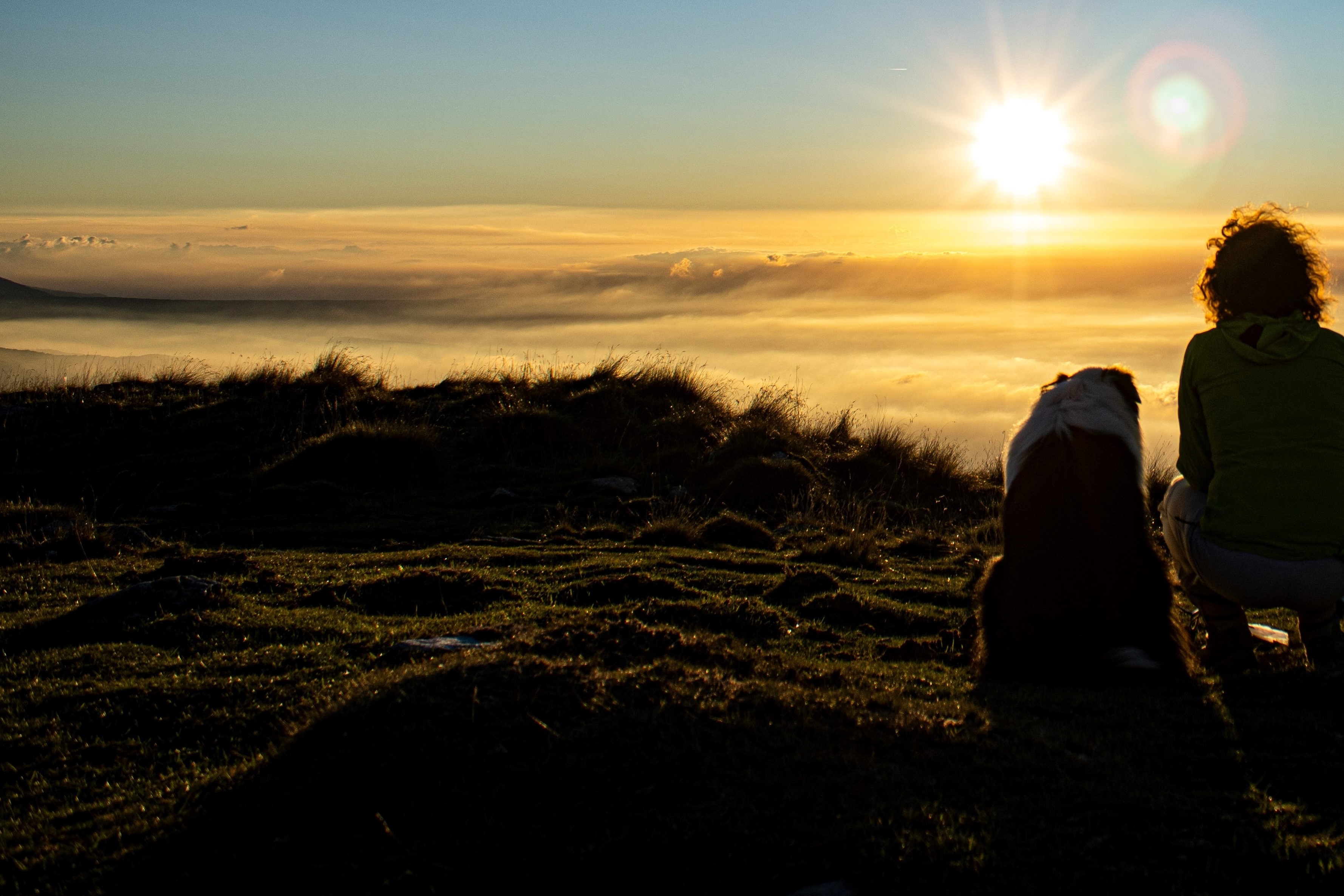 Sense of self during ageing: how mindfulness and nature can help ...