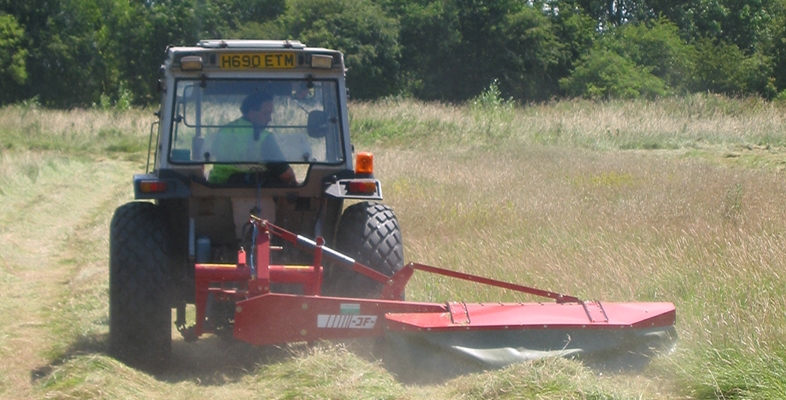 An introduction to floodplain meadows | OpenLearn - Open University