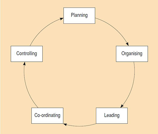 The role of the manager: View as single page