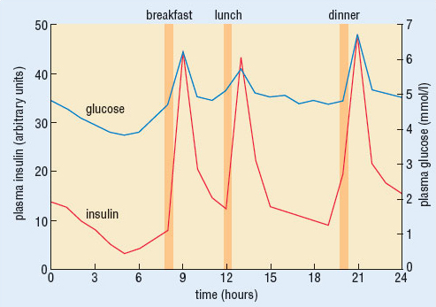 Living with diabetes: View as single page