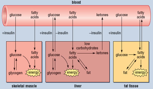 Living with diabetes: View as single page