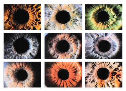 IT: e-government: View as single page