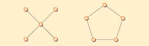 Understanding the environment: Co-evolution: Understanding the ...