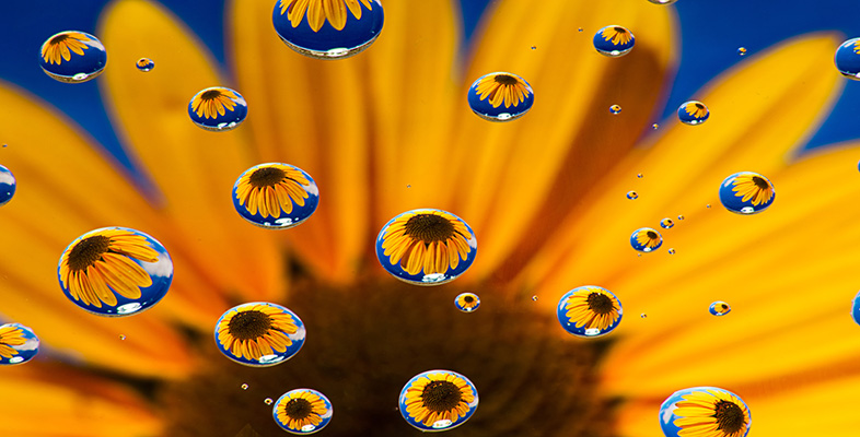 Death and medicine: postponement and promise - OpenLearn - Open University